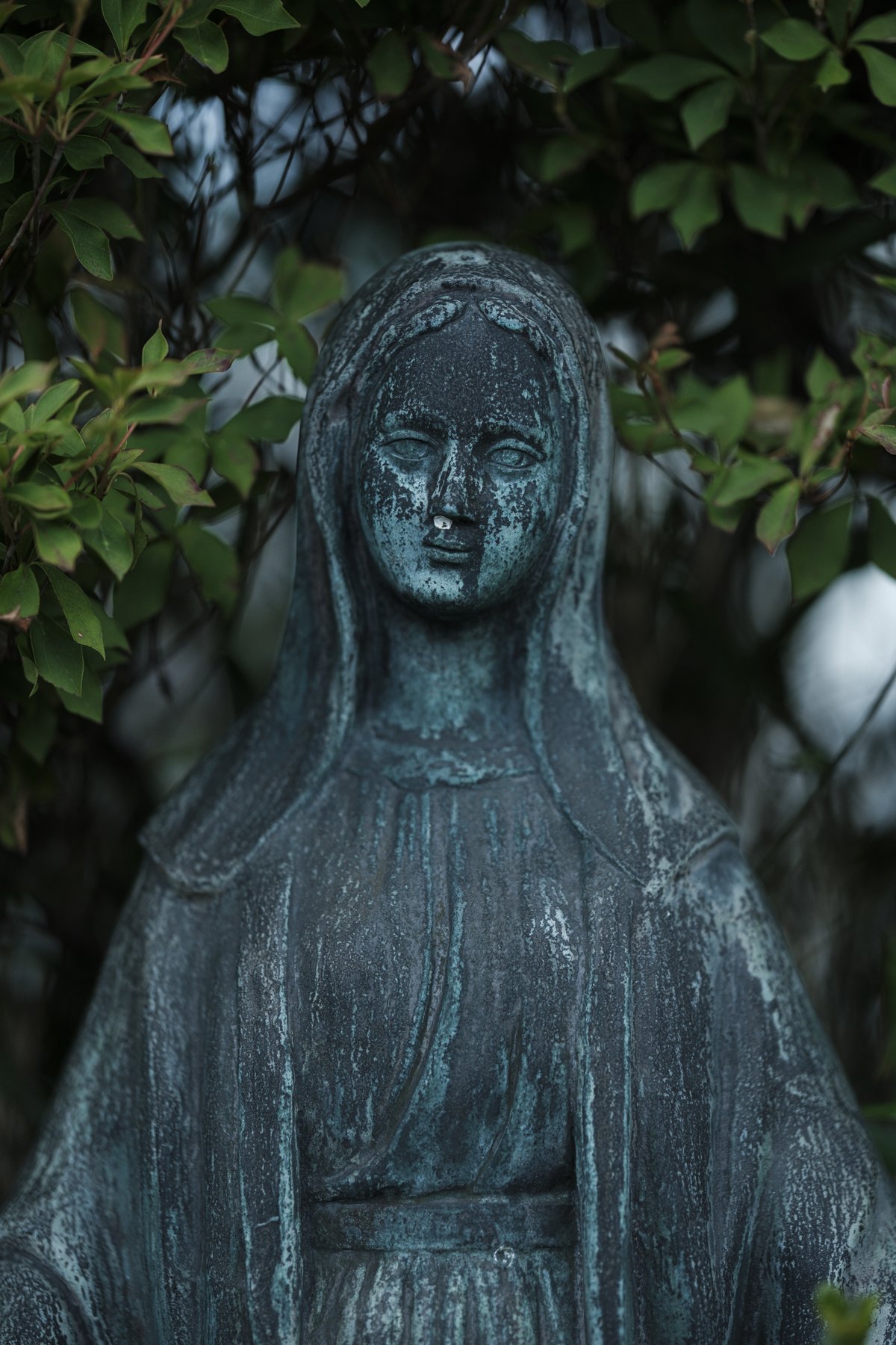 Dialogue With Mary_神奈川県_2025｜Dialogue With Mary @shinya-hirose