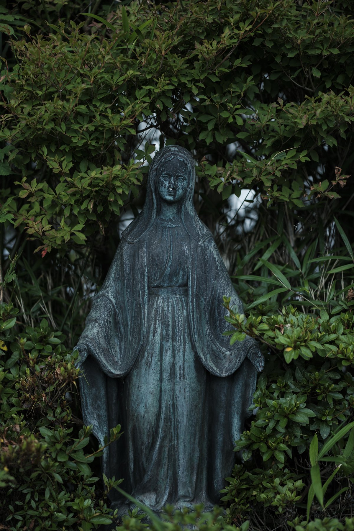 Dialogue With Mary_神奈川県_2025｜Dialogue With Mary @shinya-hirose