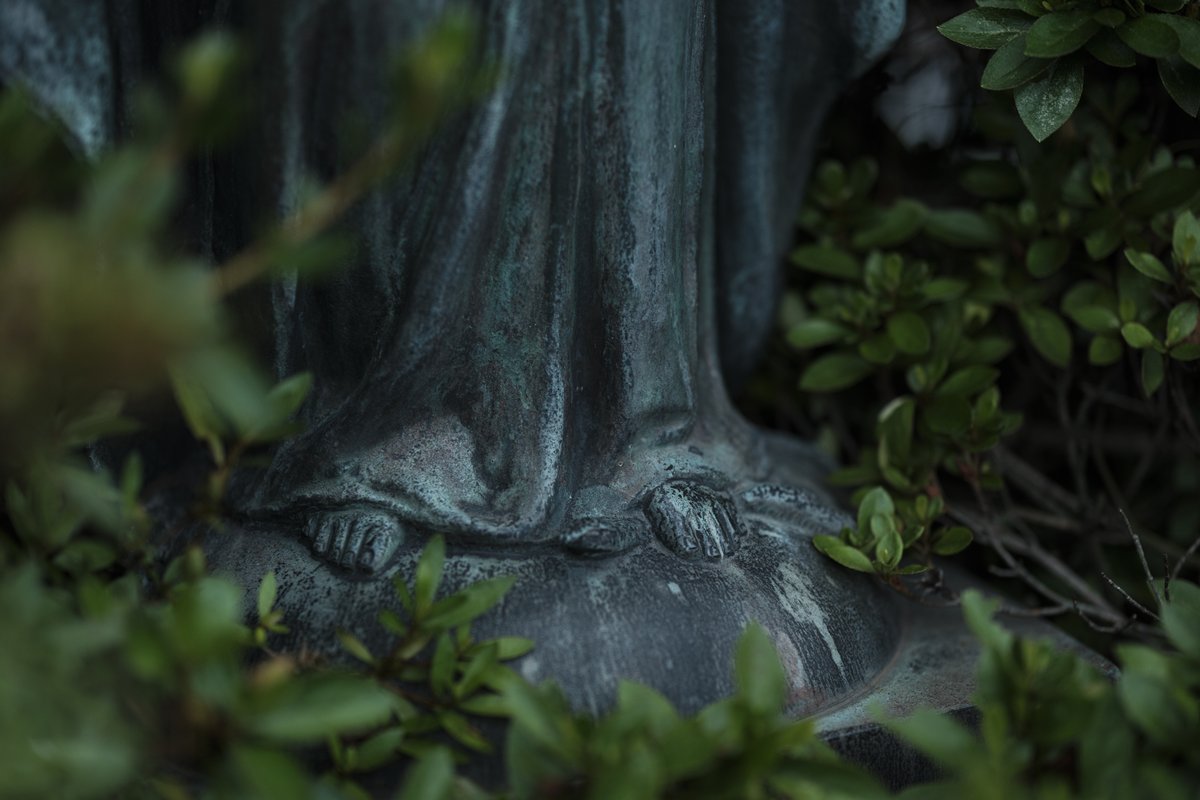 Dialogue With Mary_神奈川県_2025｜Dialogue With Mary @shinya-hirose