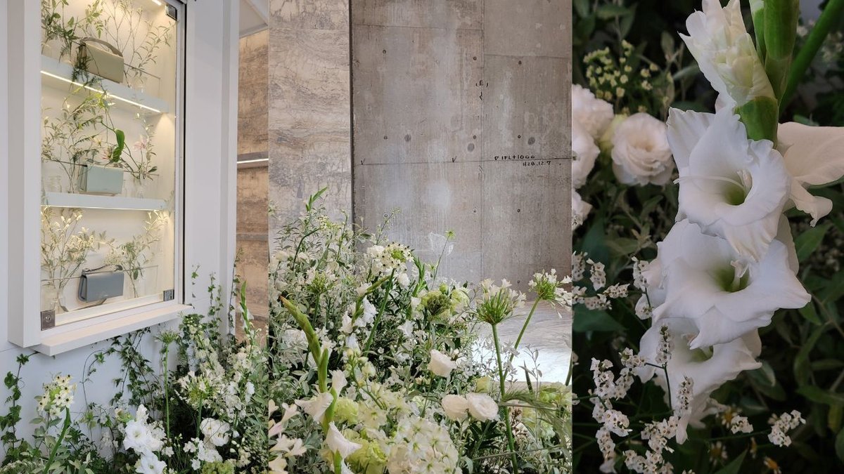 3行日記 "撮り方で表情が変わる" [2025/08/22]｜atsuko