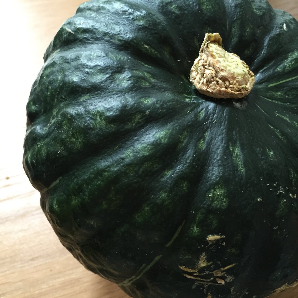 かぼちゃ煮偏愛｜弁当家・弁当コンサルタント野上優佳子(Yukako Nogami)