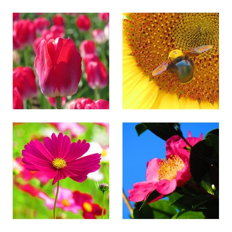 世界は美しい｜西尾征紀 （Nishio Masanori）