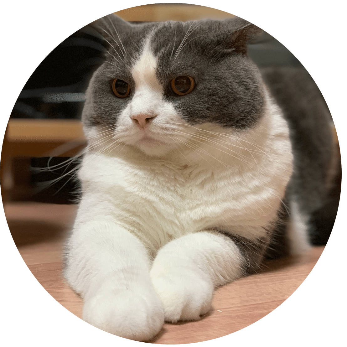 最終回！第12回｜従業員コメントリレー ～パーパスを自分事化してもらうためには？～ 【東海BPOセンター】｜つつつ@西川コミュニケーションズSDGs