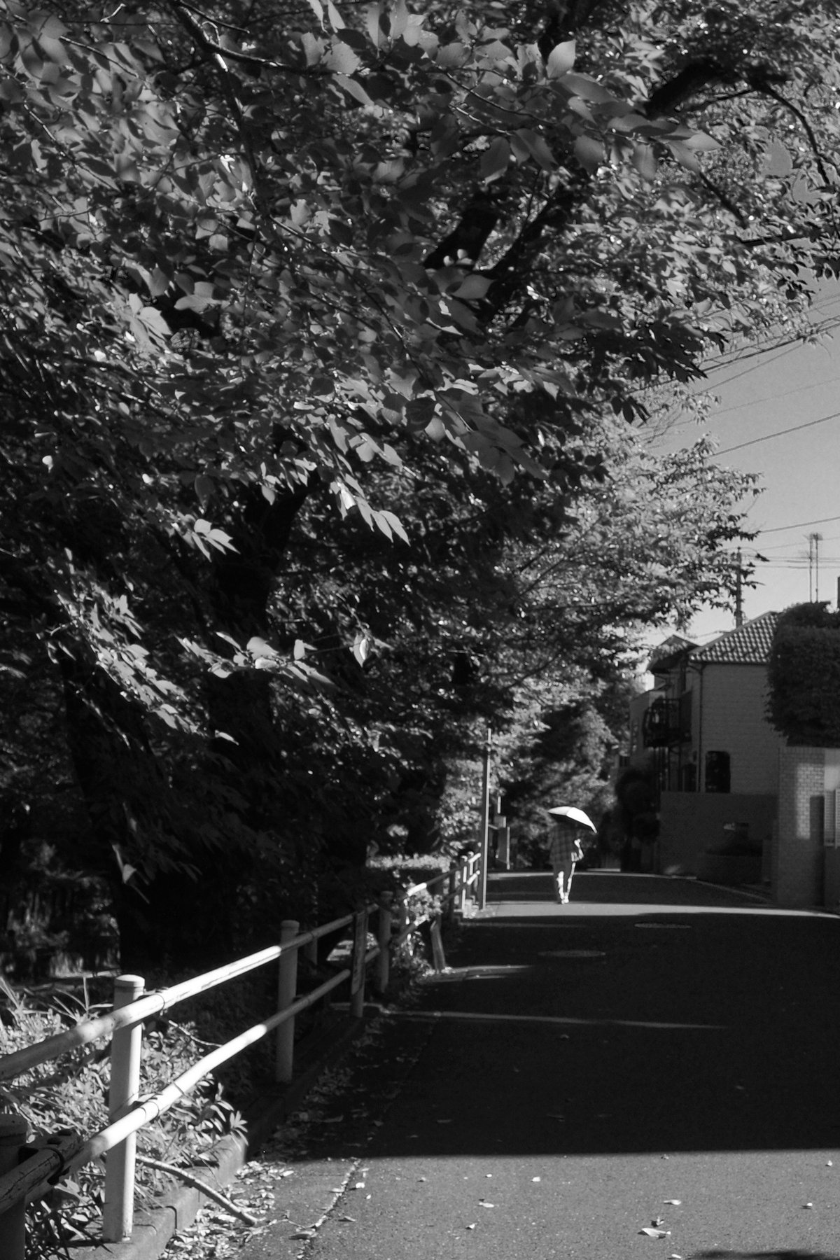 GRⅢ日記 20250731｜ponchan