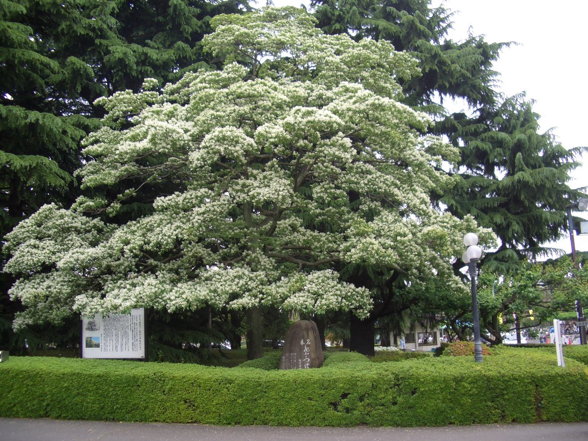 はじめてのnote｜Kazu