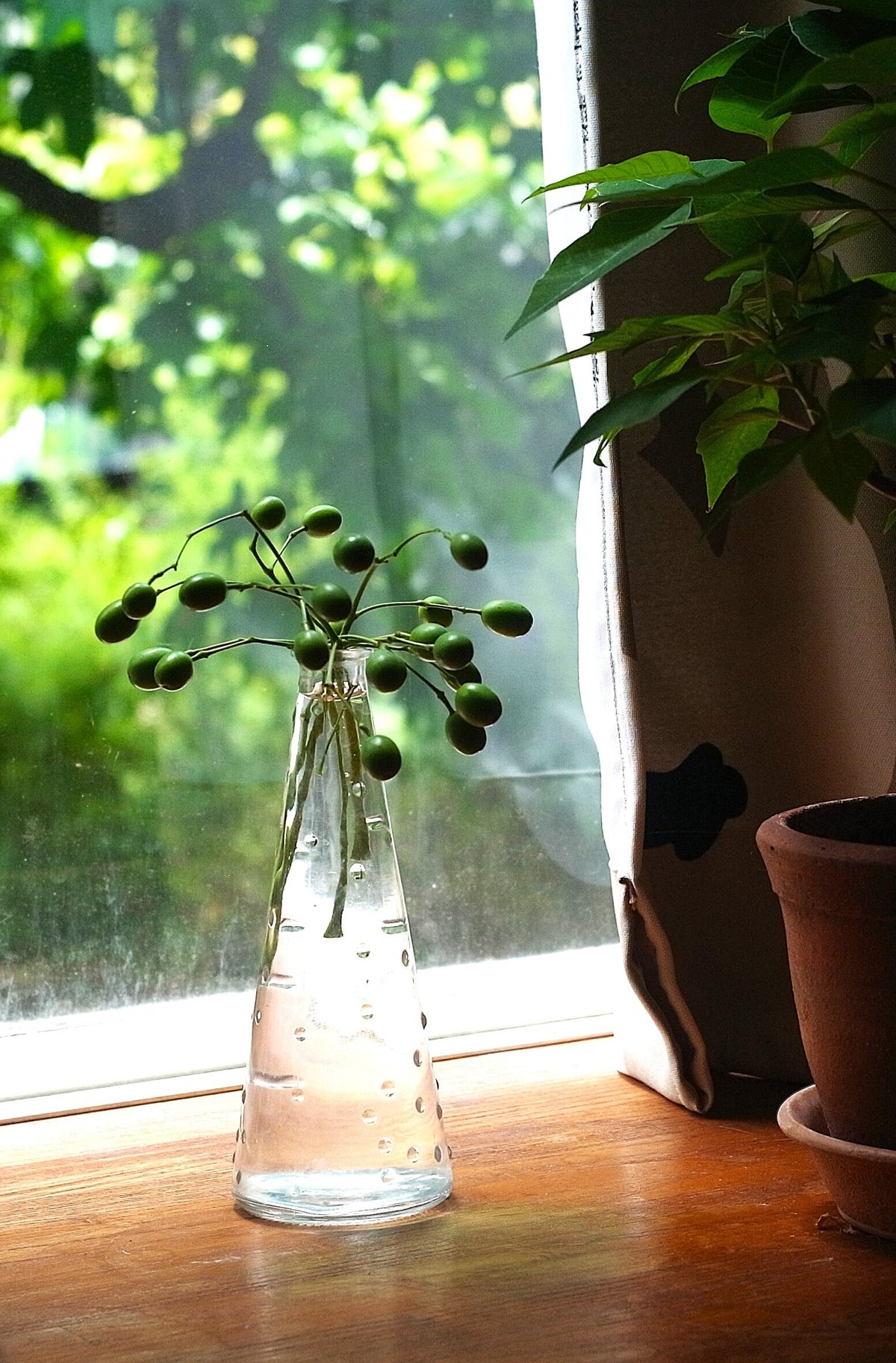 「光でスケッチ」 あっそぉ！｜Rabi Sato