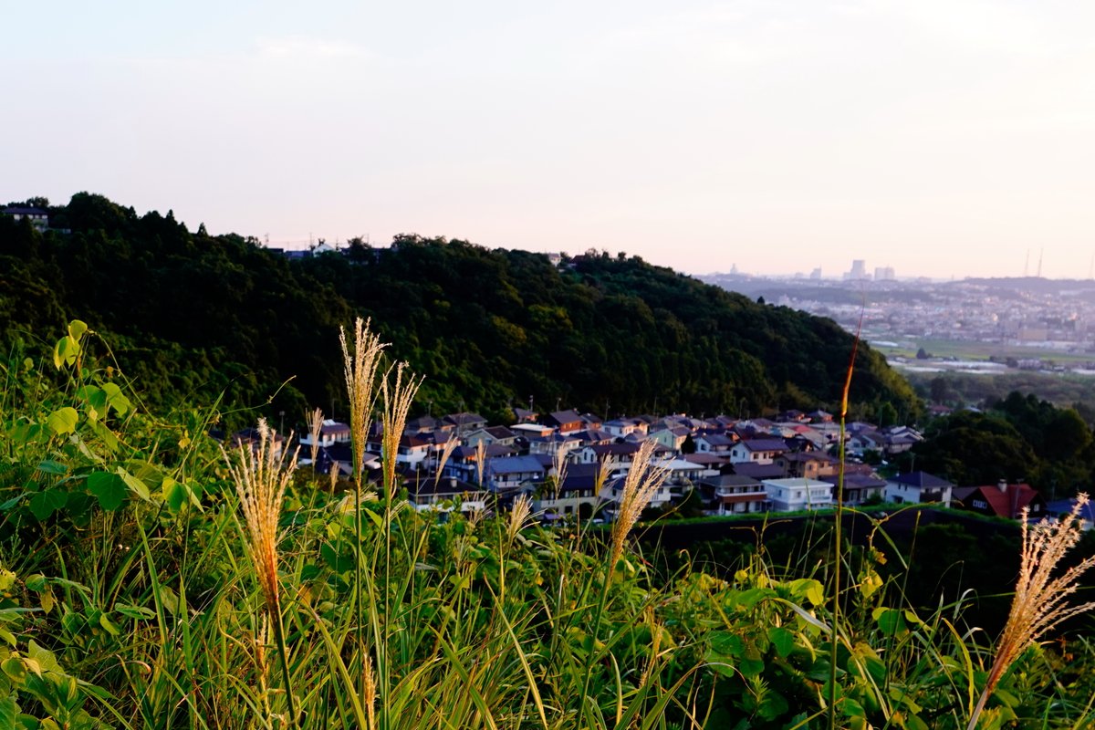 忍び寄る秋｜oichan