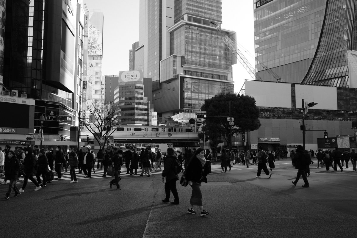 blink:モノクロ写真をDodge and Burnで作りこみ｜ted_ozawa