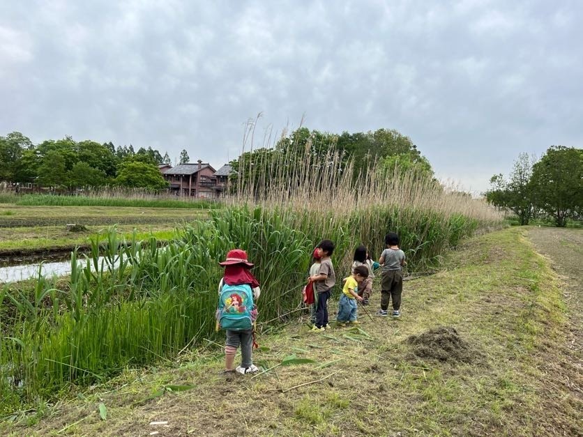 『自然について』～教育における、自然の位置づけ｜柴山 利幸
