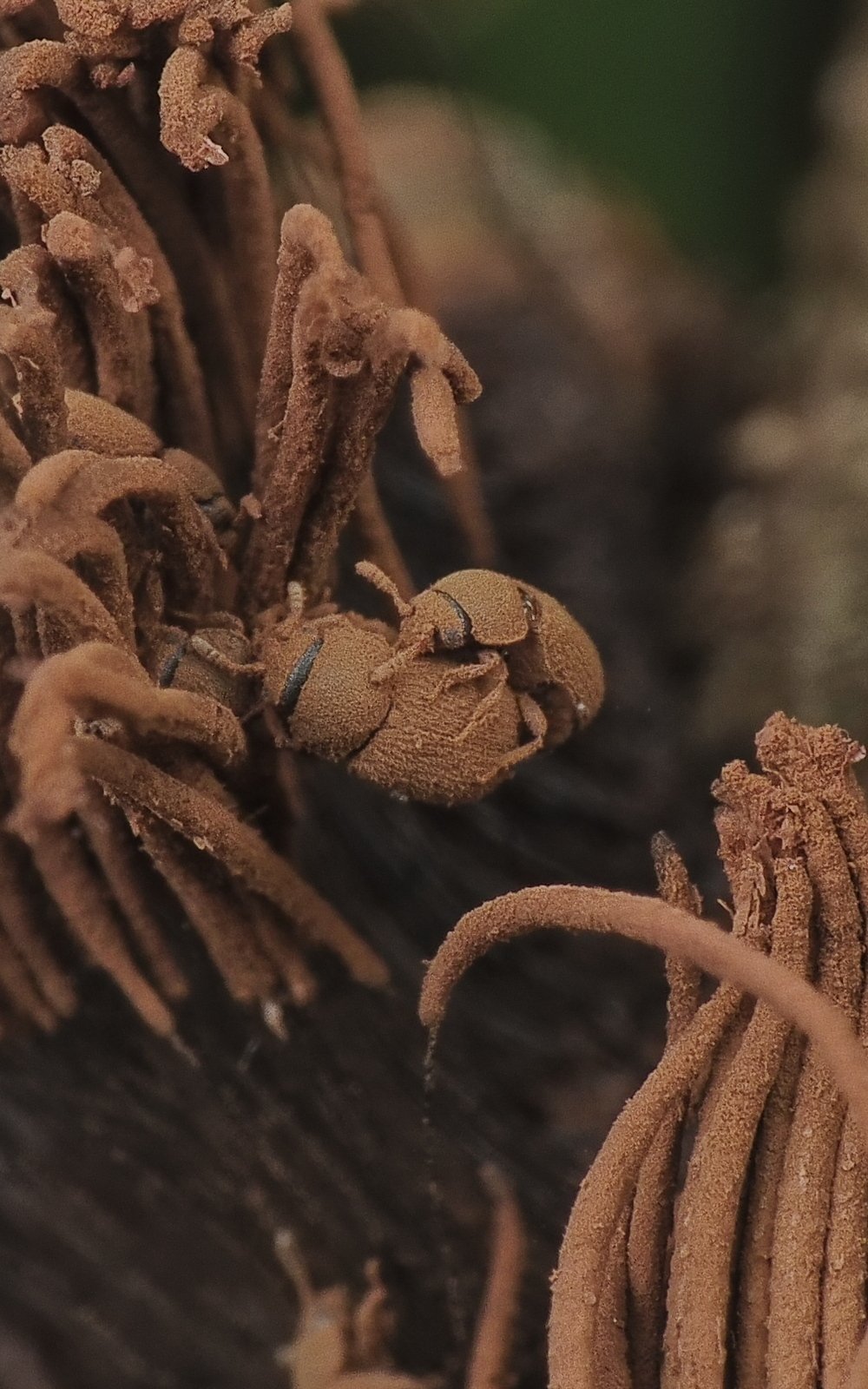相利共生｜Hirokazu Nakao