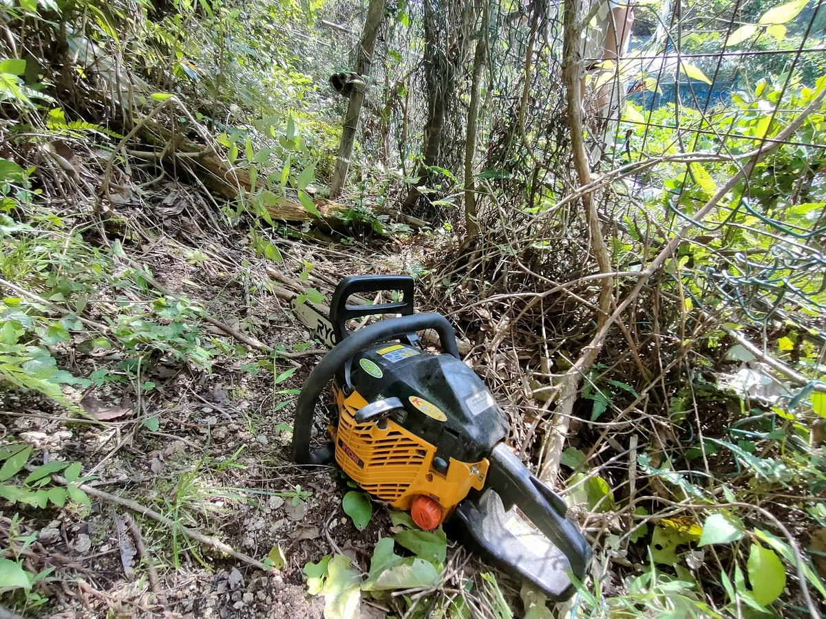 damp？｜雀ゴロNoB氏のJUNK STORY