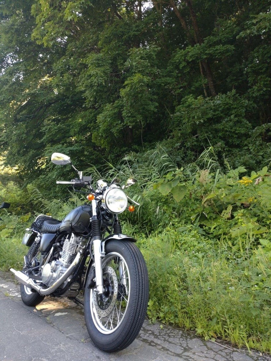 SR400におすすめのタイヤ紹介｜私のタイヤ履歴とアドラートの魅力｜ToriShira