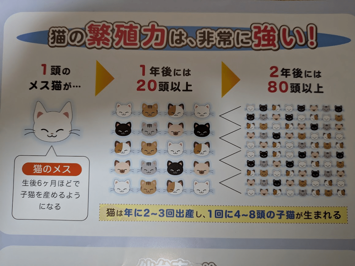 🐱 外猫TNR活動メンバーシップ募集 | 2025年9月3日～活動開始します！【東北イタコ（Tohoku I-ST）の外猫TNR活動支援願い】｜東北イタコ（Tohoku I-ST）