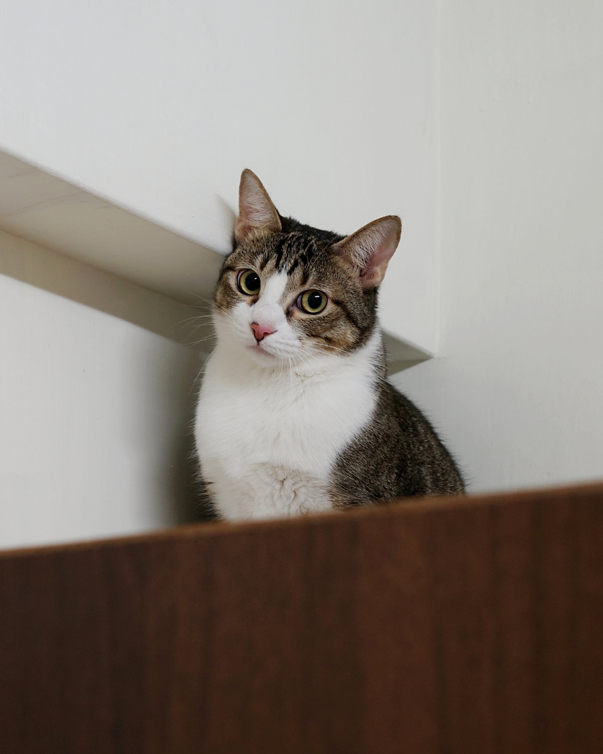 自己紹介｜はじめてのnote｜Ena