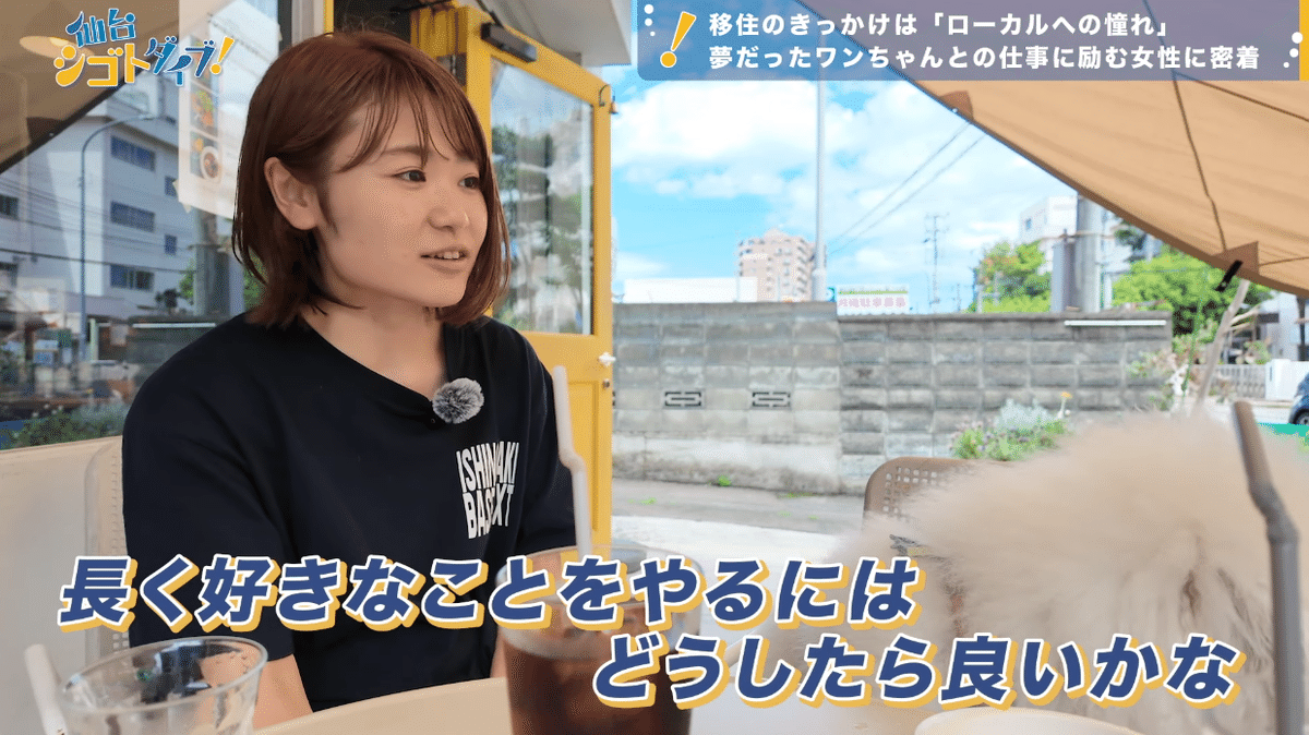 東京から仙台・石巻へIターン｜トリマーの1日に密着【仙台シゴトダイブ】｜【仙台市】CROSS SENDAI