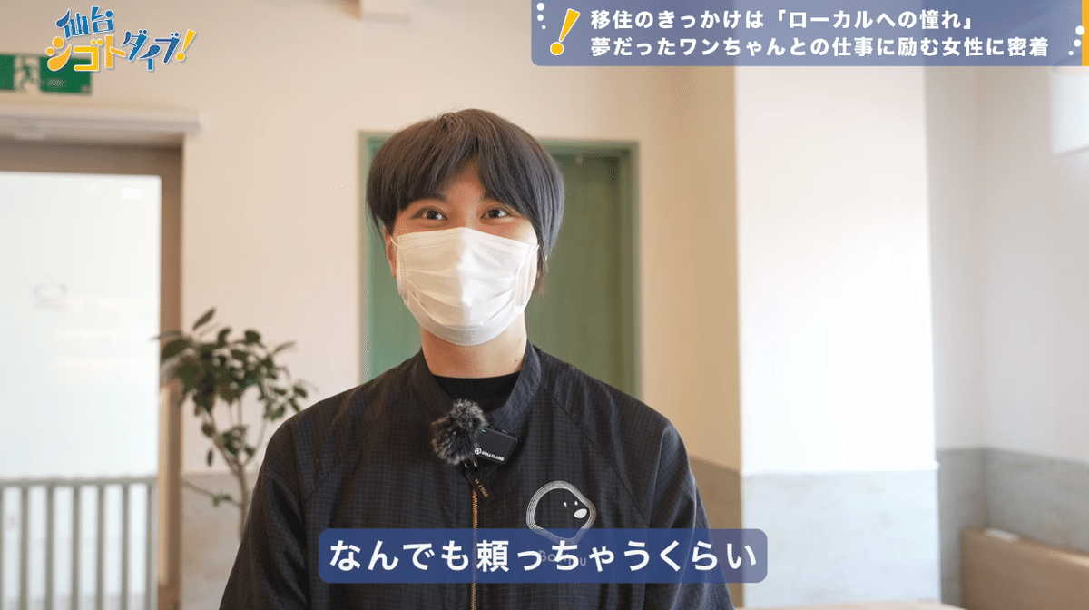 東京から仙台・石巻へIターン｜トリマーの1日に密着【仙台シゴトダイブ】｜【仙台市】CROSS SENDAI