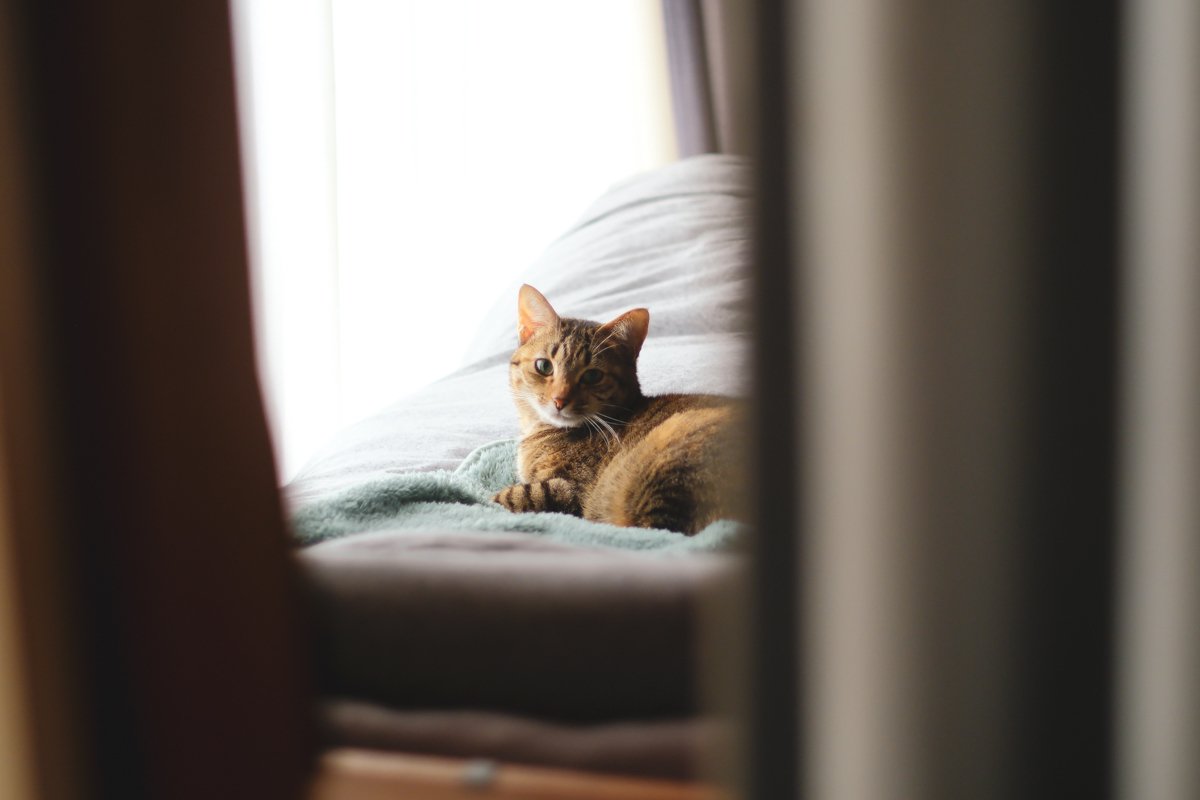 KIKUCHI LEATHERものづくりストーリー｜KIKUCHI LEATHER