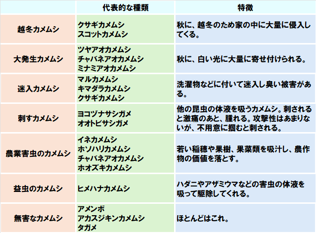 カメムシ大発生 ～当たり年の秋は、壁や廊下がカメムシだらけ｜KINCHO 大日本除虫菊株式会社