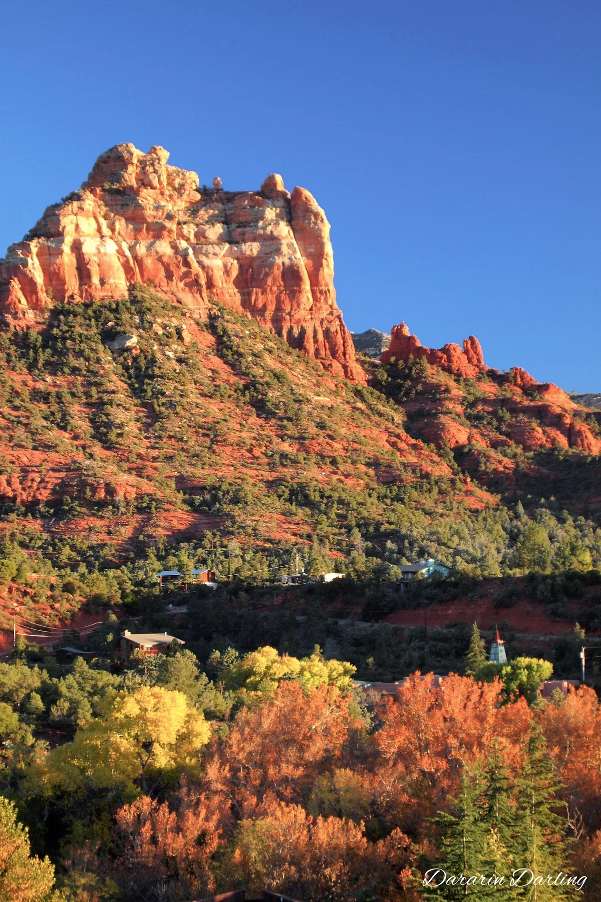 29th Nov 2010: Sedona in Arizona｜Dararin Darling