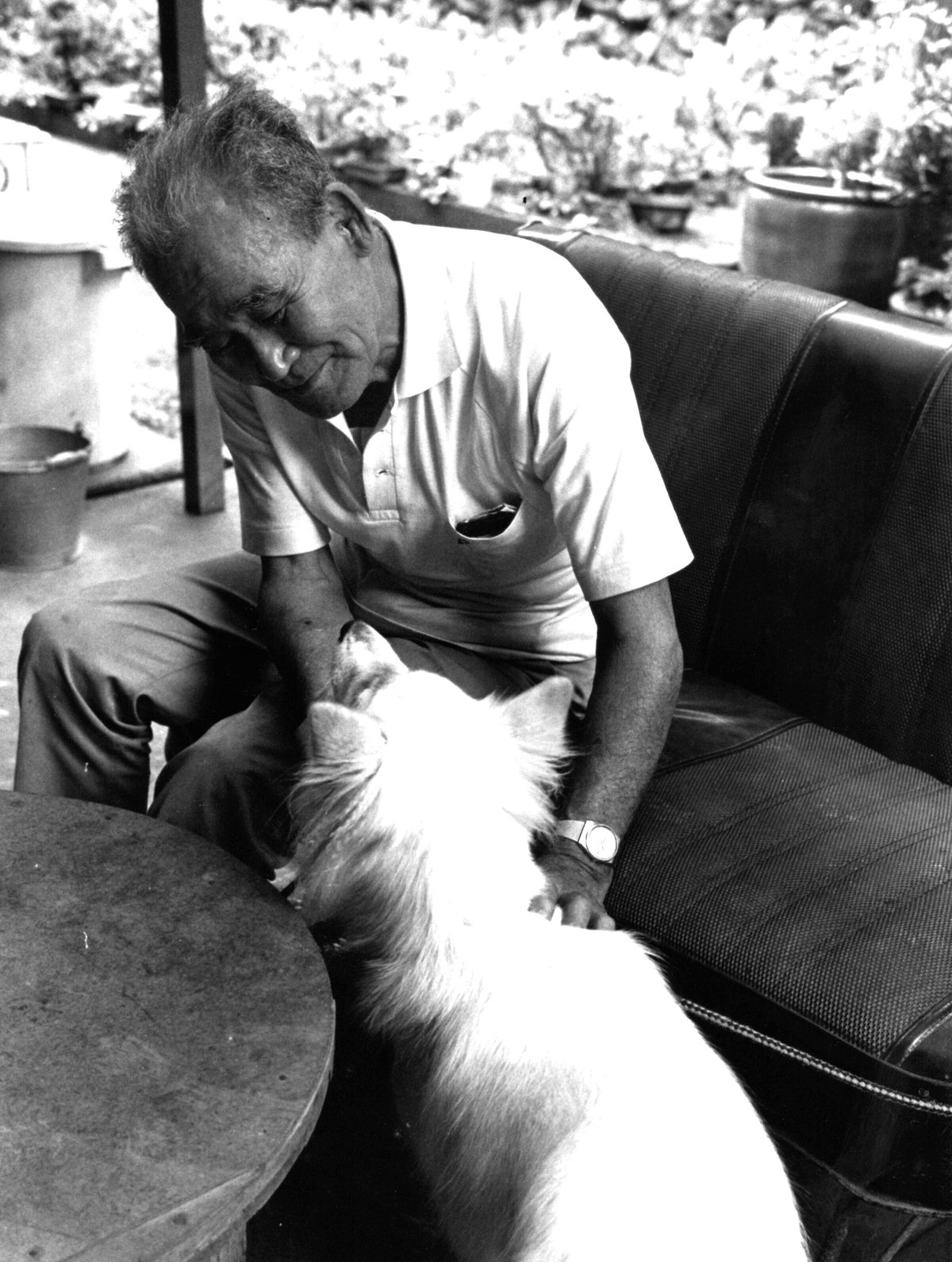 「With a Dog」 いつも・・｜Rabi Sato