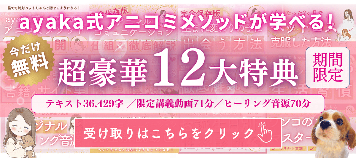 アニマルコミュニケーション勉強会忘備録【9/5開催】｜アニマルコミュニケーターayaka