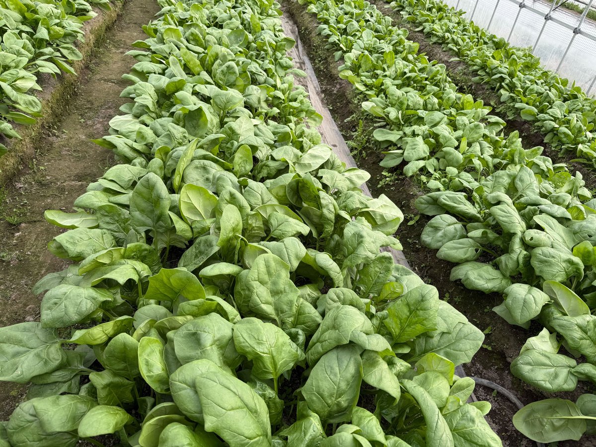 美味しい農業プロジェクト成果報告！｜LIFULL AgriLoop公式