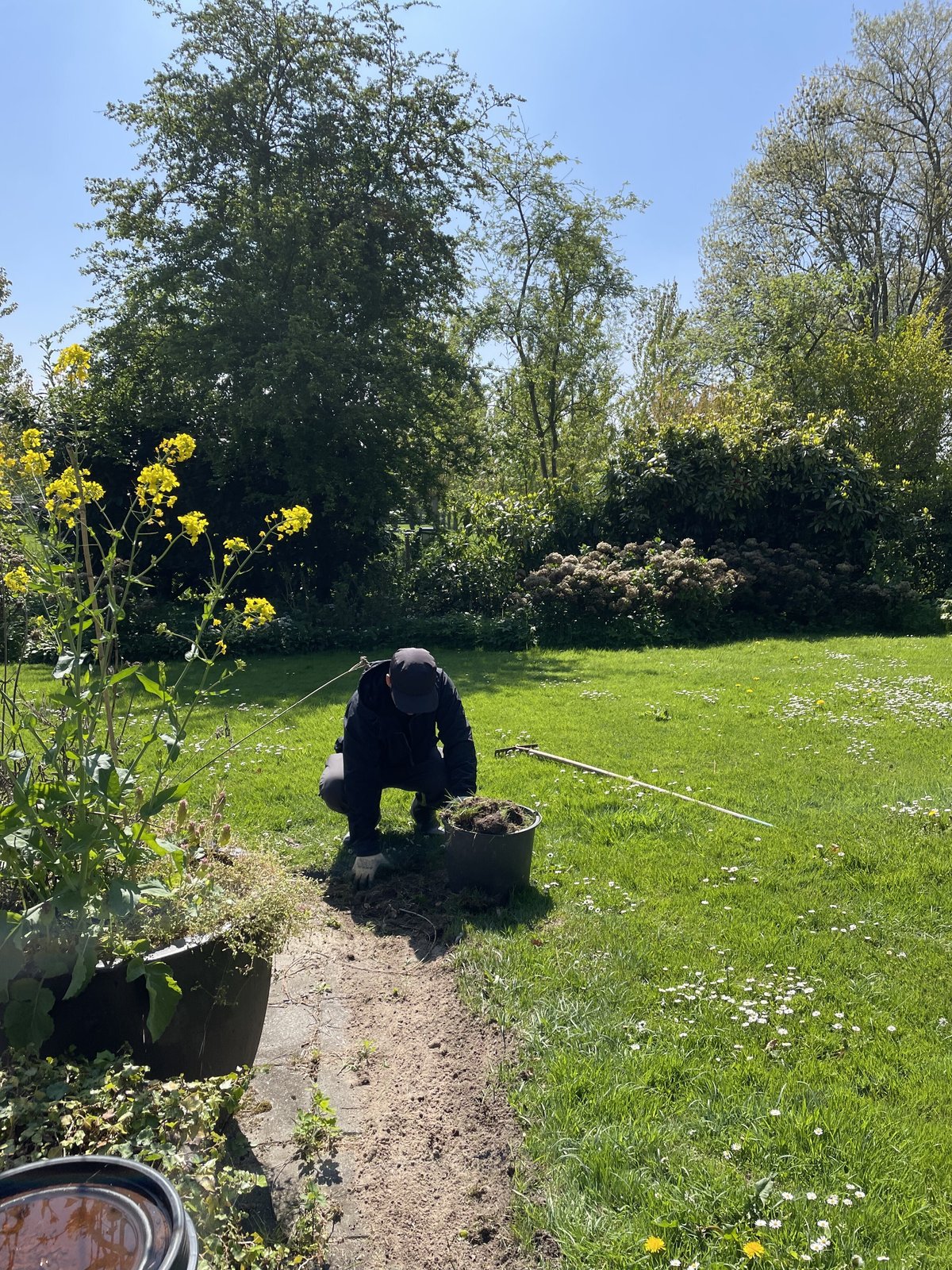 オランダ移住|滞在費を安く済ませる方法|ファームステイ|Workaway｜ぷからす旅