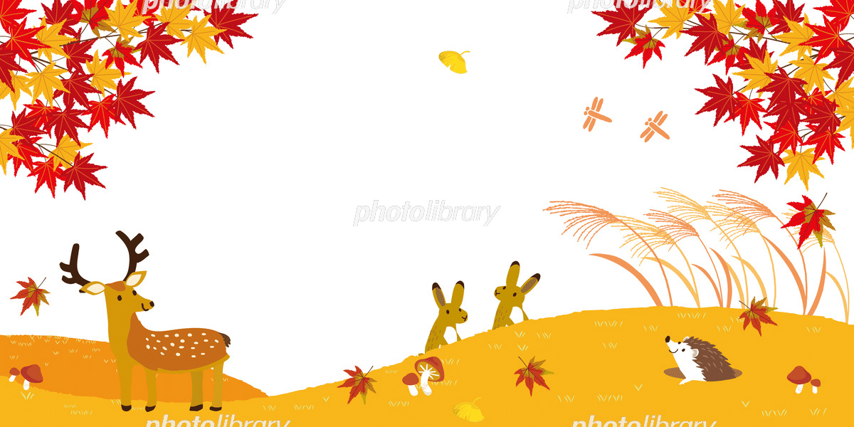 🍂秋には「タイトルにミュージックがつく洋楽曲」をたくさん聴いちゃうぞ！！｜negomasa