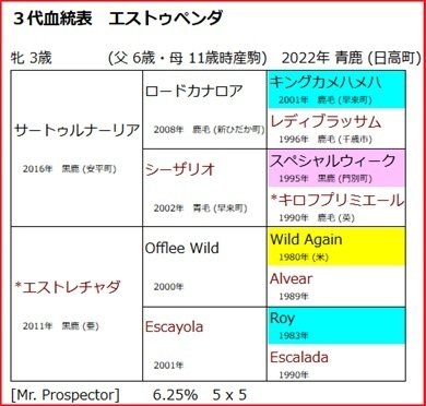 【2025 紫苑ステークス（G2）】～予想篇｜Haya