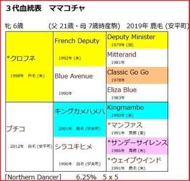 【2025 セントウルS（G2）】～予想篇｜Haya
