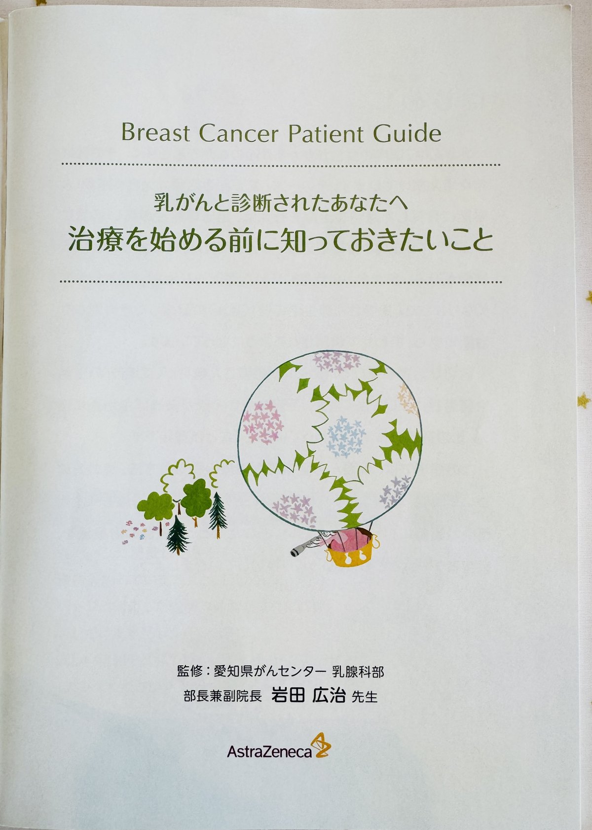 50歳独身、どうしよう乳がん、、、＃3 いざ大病院！｜noriko_niki