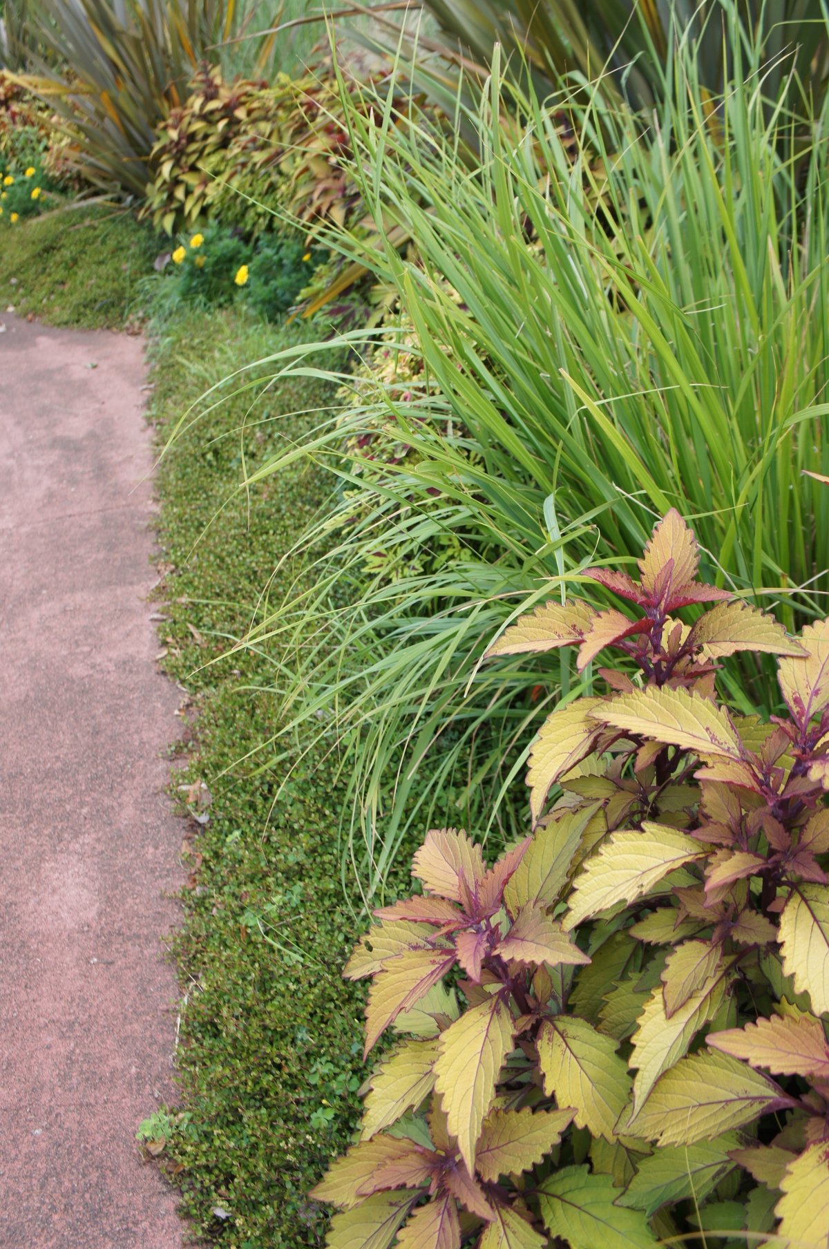 海の近くの屋上庭園、東品川海上公園の屋上庭園。｜niwa_emon