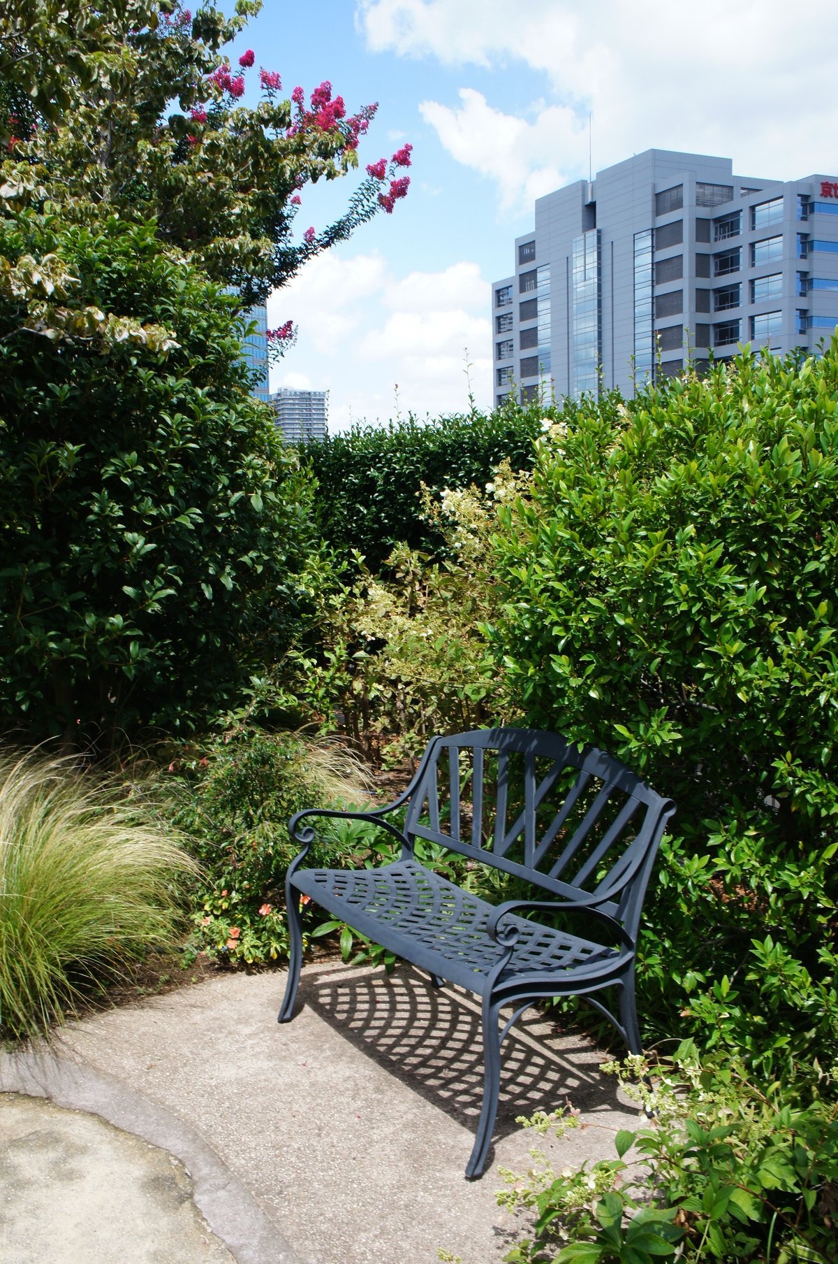 海の近くの屋上庭園、東品川海上公園の屋上庭園。｜niwa_emon