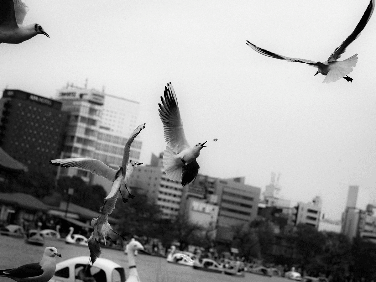 POOLO JOB 6期生として参加します！｜YAMA