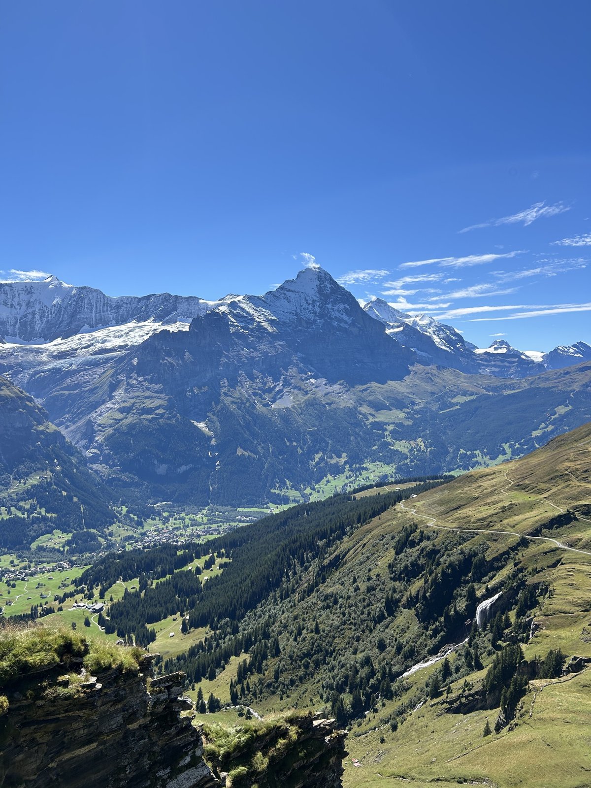スイスの絶景と共に生きる牛文化｜Kani🦀