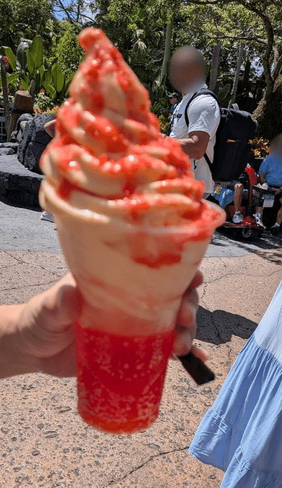 【WDW旅行記 #3】 王道のマジック・キングダム！感動とハプニングの1日｜Lilo tabi