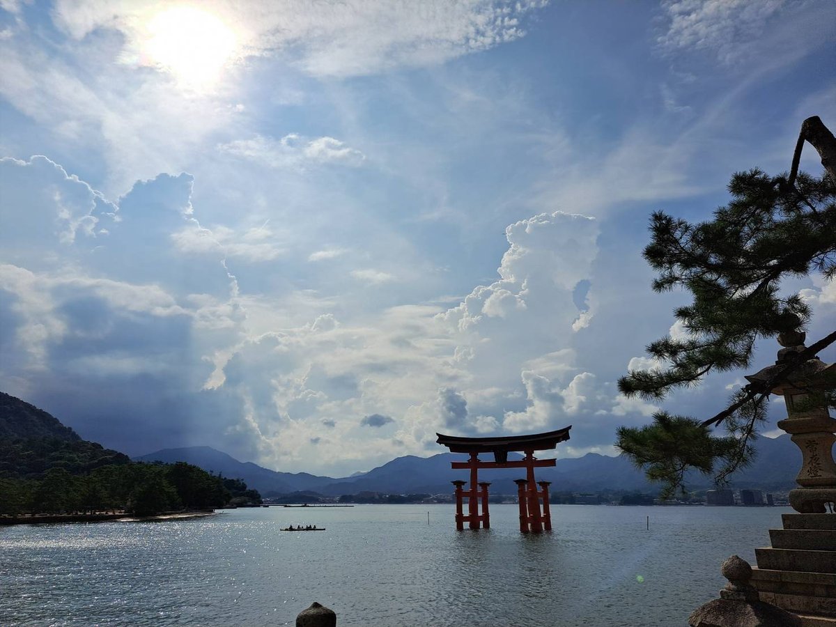 POOLO JOB 6期に参加します！ | 自己紹介｜わらび餅