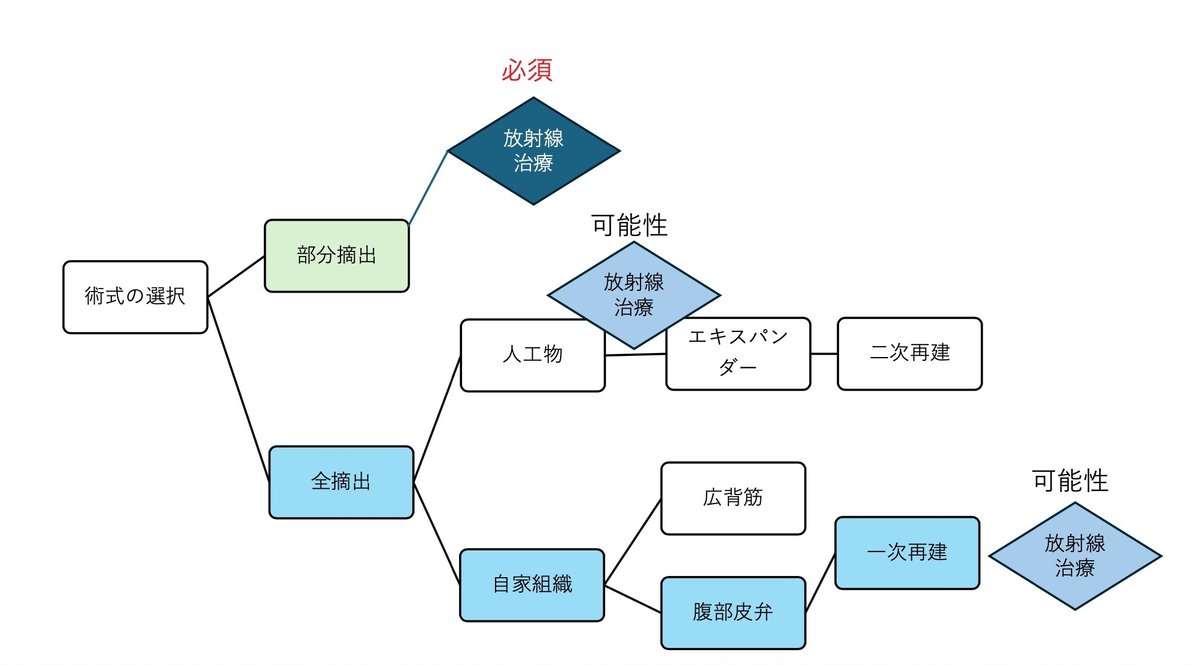 50歳独身どうしよう、乳がん、、、＃4 全摘&自家組織再建を決定するまで｜noriko_niki