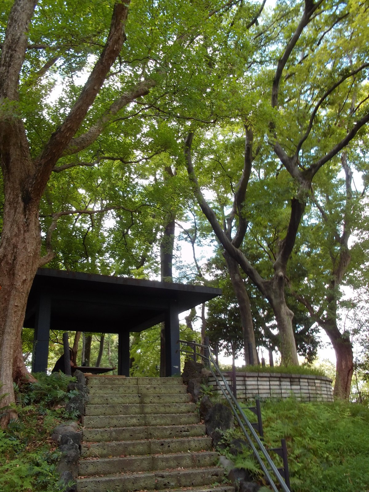 晩香廬・青淵文庫が美しい。渋沢栄一ゆかりの庭園、旧渋沢庭園。｜niwa_emon