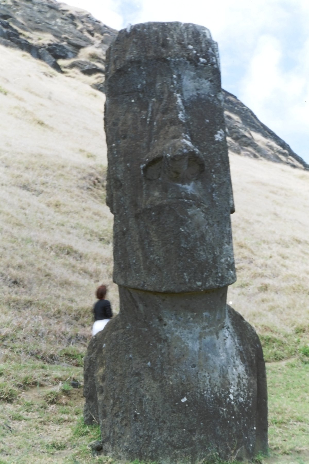 MOAI ｜私的おっ宝藝術館 MUSEOPRIVITE