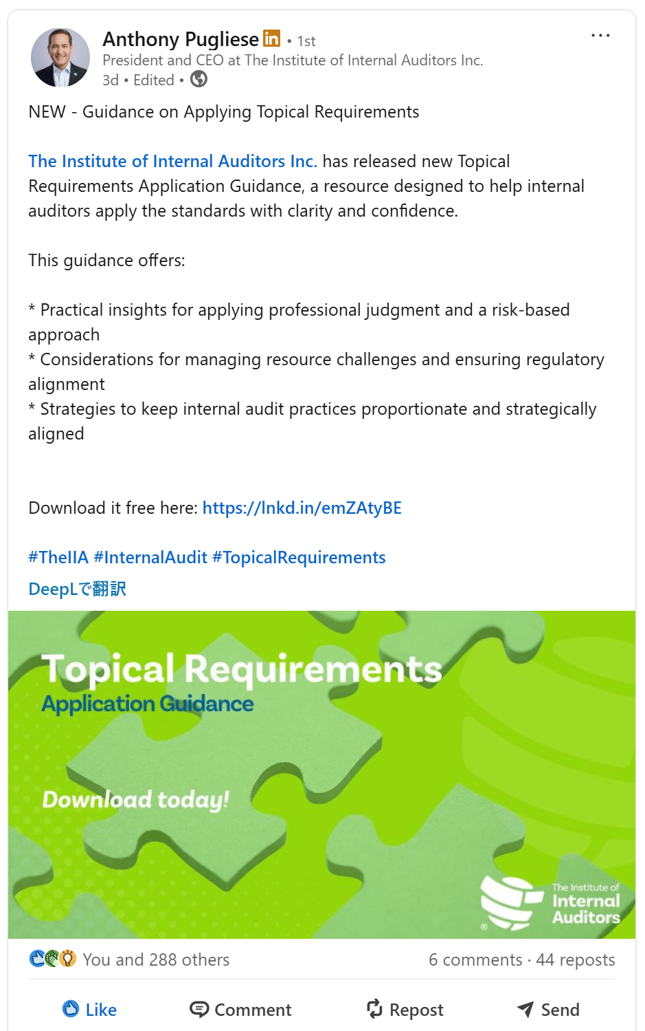 IIAの「Topical Requirements Application Guidance（トピック別要求事項実務適用ガイダンス）」とは ...