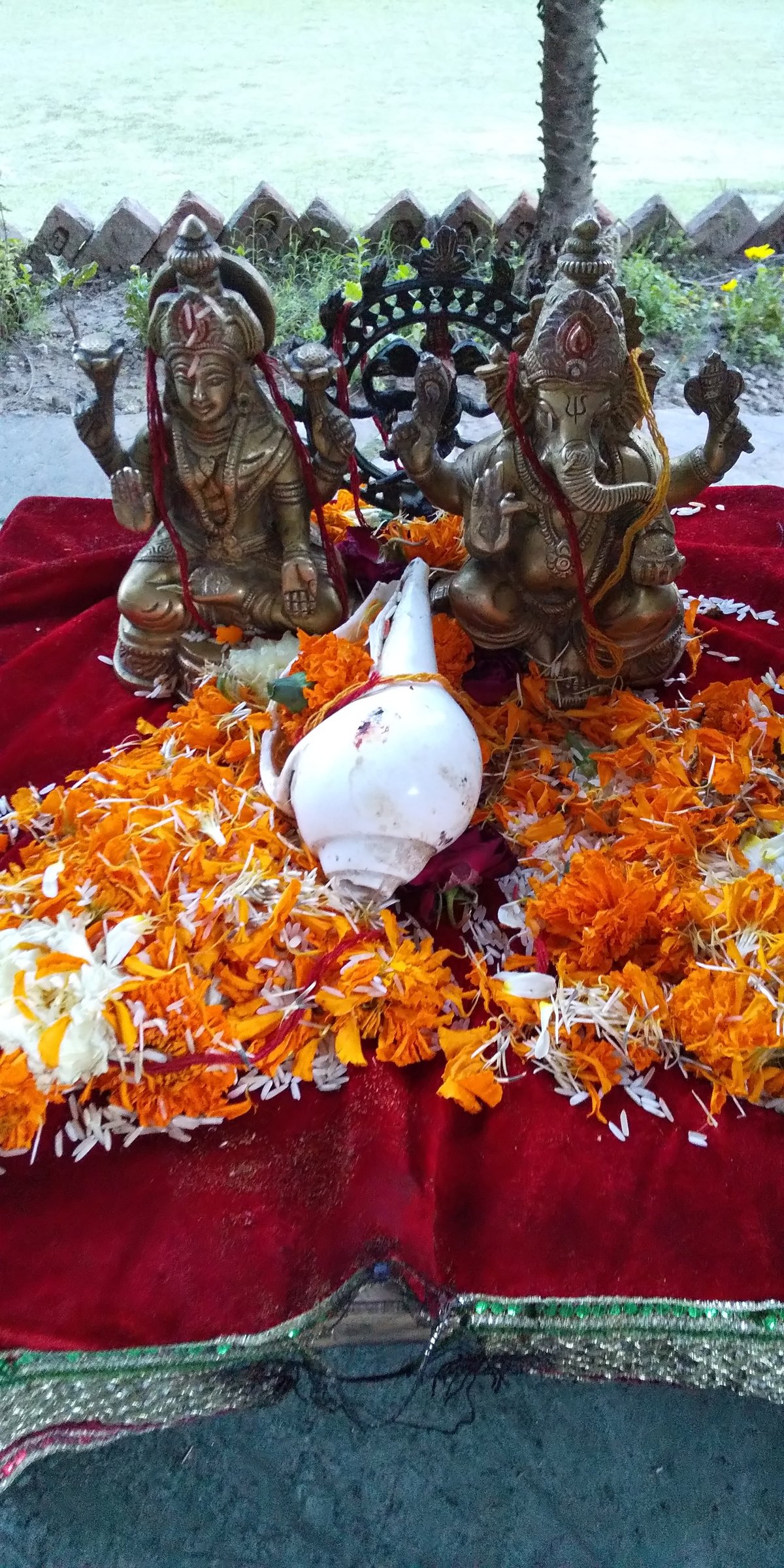 映画『燃えあがる女性記者たち』を観て感じた自らの「無知の知」｜Mi Yoga Yinside 女性のための陰ヨガ×インドの伝統ヨガ×アーユルヴェーダ