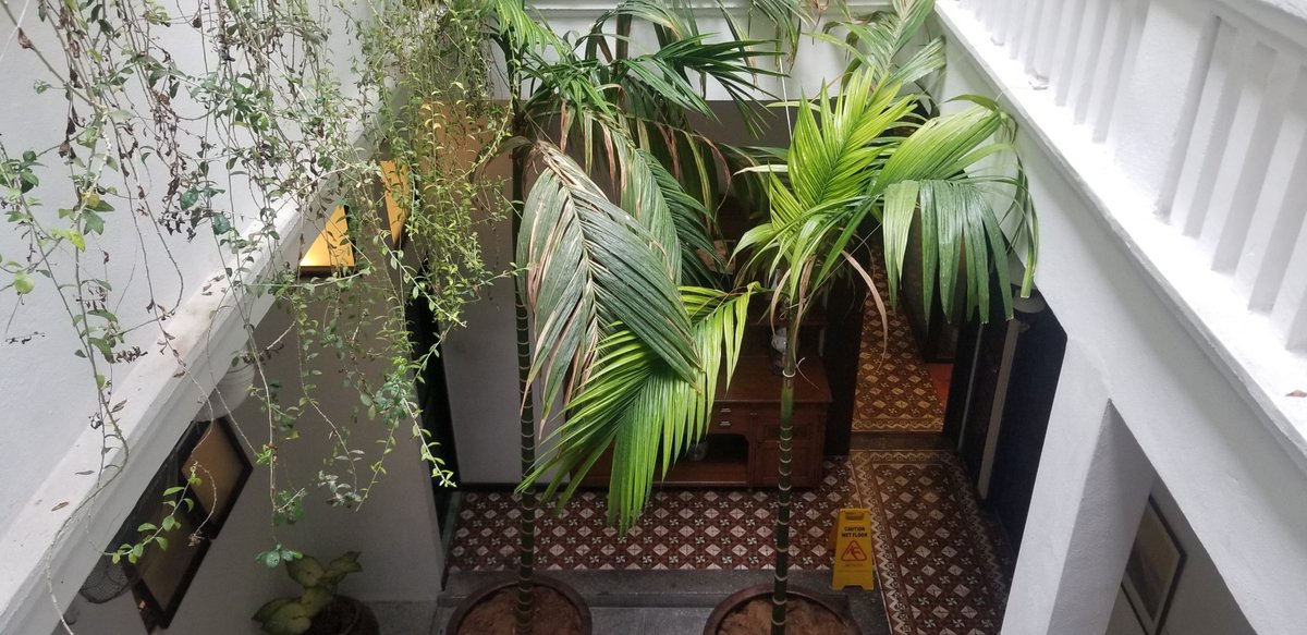 アラフォーアジア旅～クアラルンプールからペナン島へ～｜hima