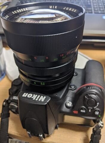 IRIS GALLERY 第四回 季節の公募展「夏幻」｜墨田ペトリ堂