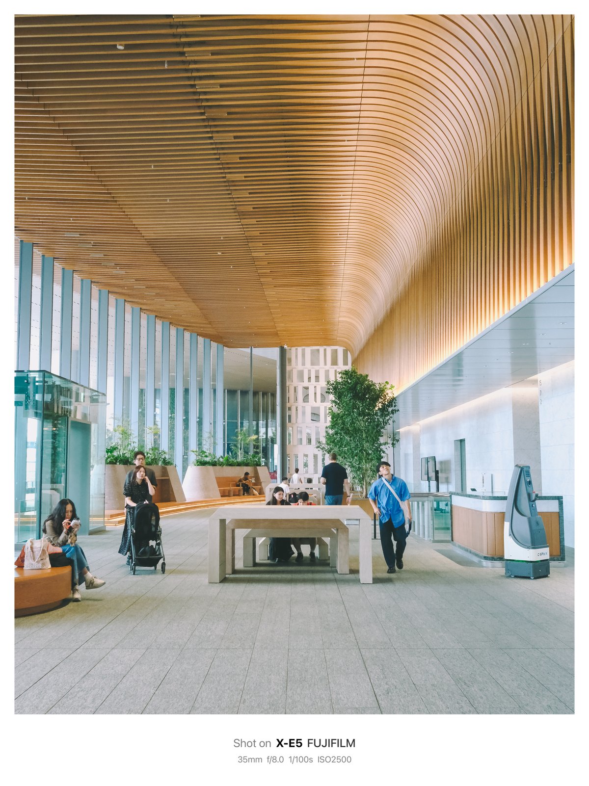 植物 絶景の空間「LUFTBAUM」に行ってきた！ | 僕とカメラ | note｜鈴木ユートピア