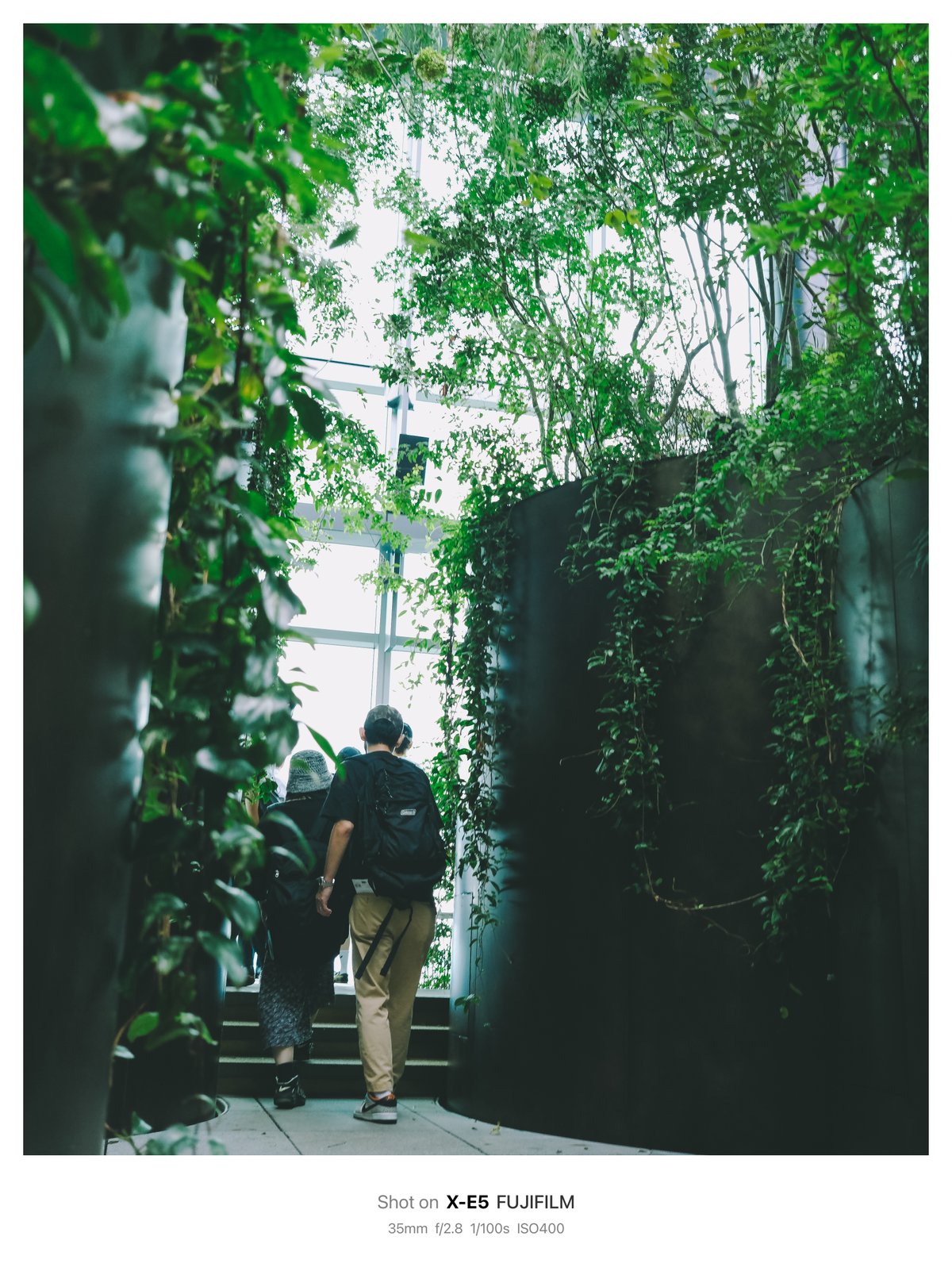 植物 絶景の空間「LUFTBAUM」に行ってきた！ | 僕とカメラ | note｜鈴木ユートピア