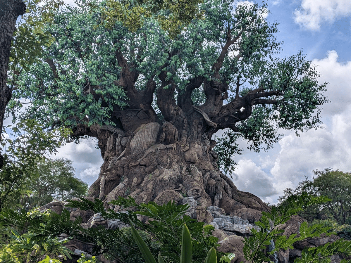 【WDW旅行記 #6】ここはジャングル？「アニマル・キングダム」｜Lilo tabi