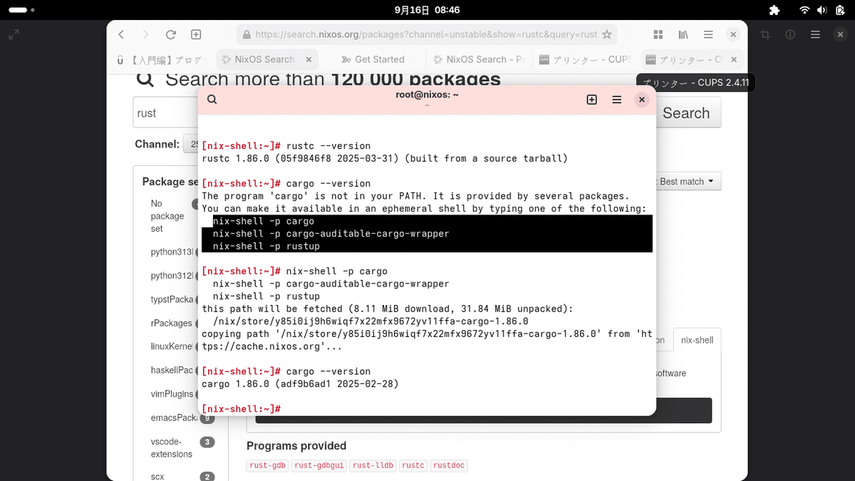 rustc nixos install｜blue06_2022