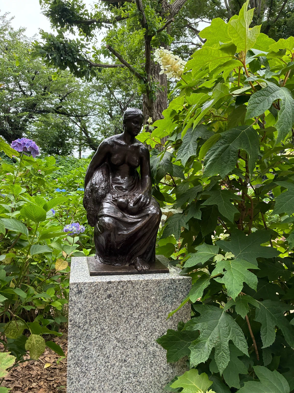 Walking the Stories of the Musashino Plateau｜HASEKYO / 長谷川 正雄