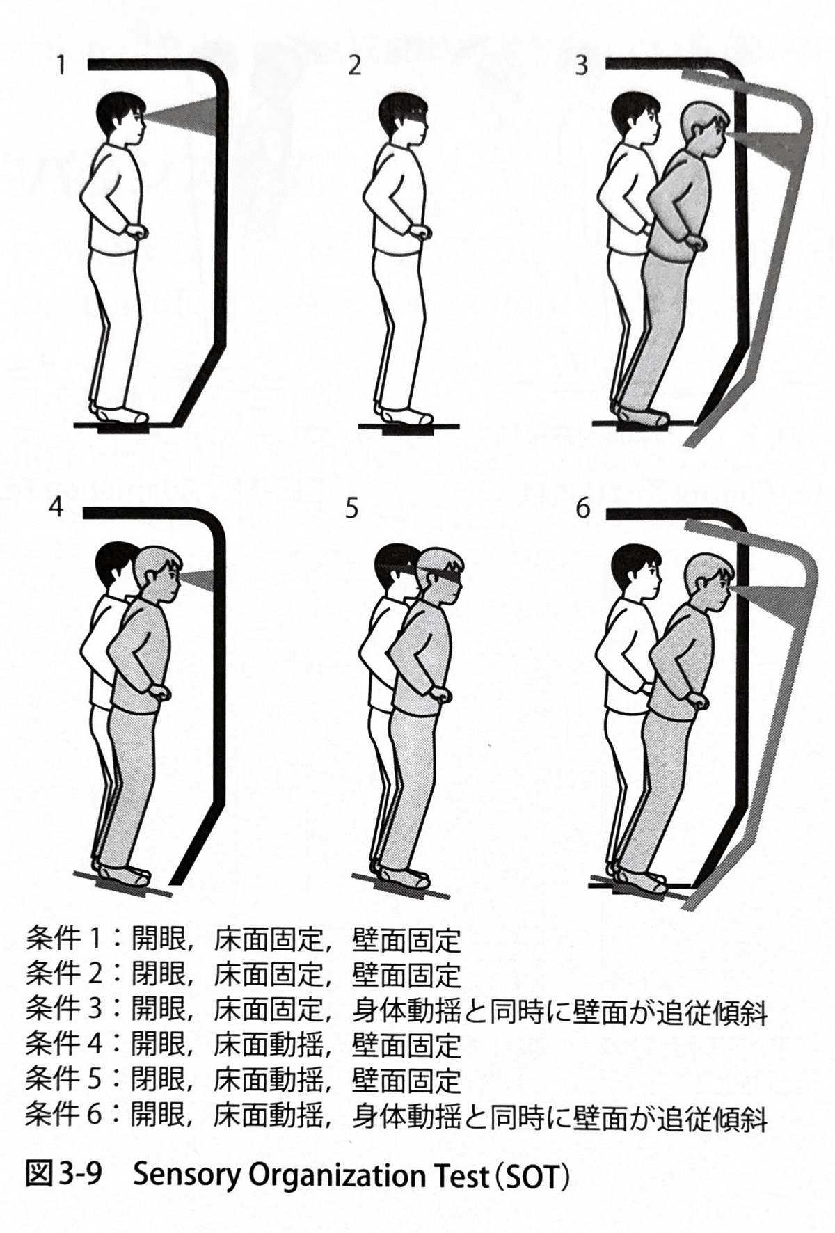 Sensory organization test(SOT)｜neulogy PT